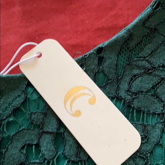 Charming Charlie | Dresses | Green Lace Dress From Charming Charlies ...